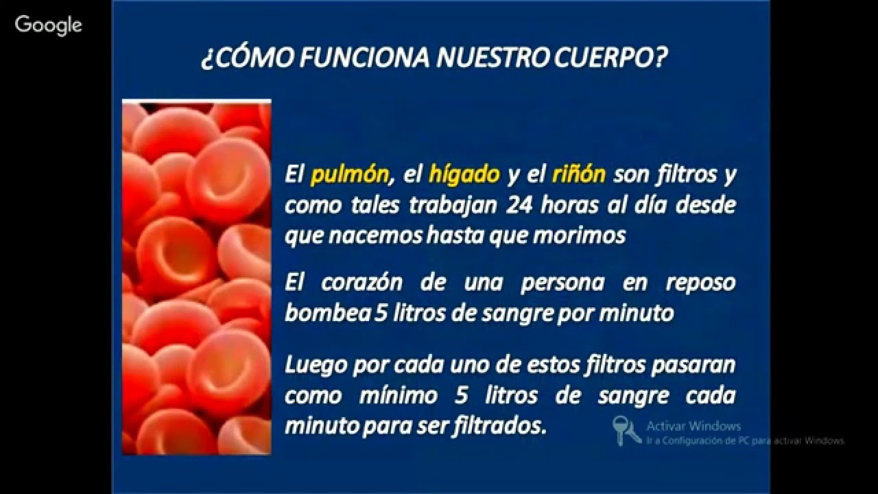 ¿Por que se enferman nuestras células? - YouTube