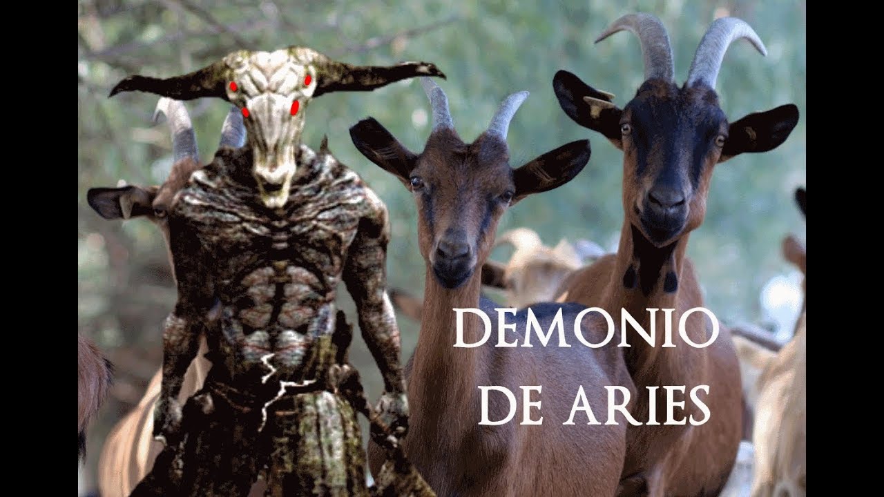 Dark Souls - Demonio de Aries - YouTube