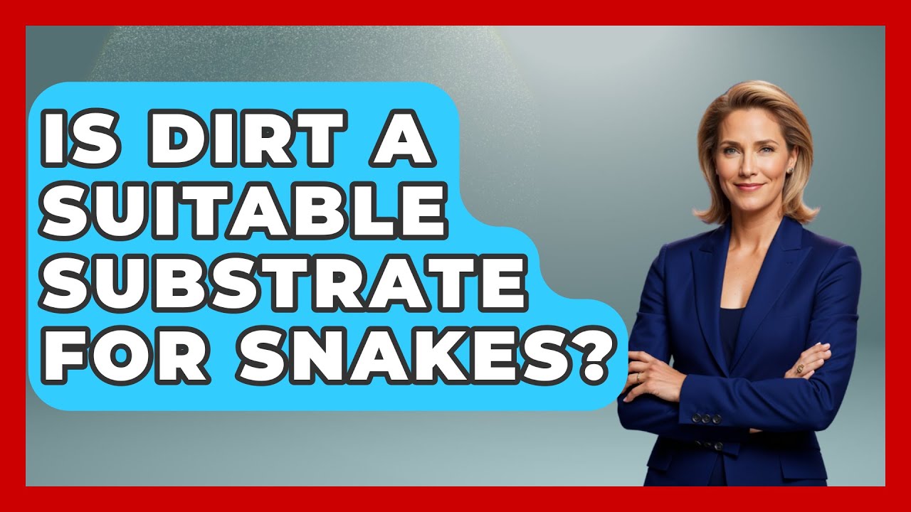 Is Dirt A Suitable Substrate For Snakes? - Reptilian Wonders - YouTube