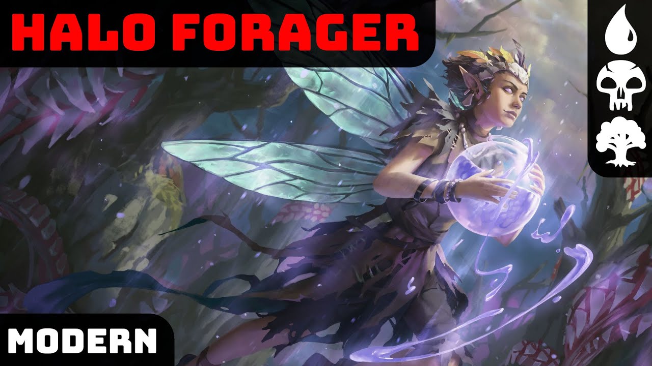 BUG Halo Forager Brew! | Modern | Magic Online | Magic: The Gathering ...