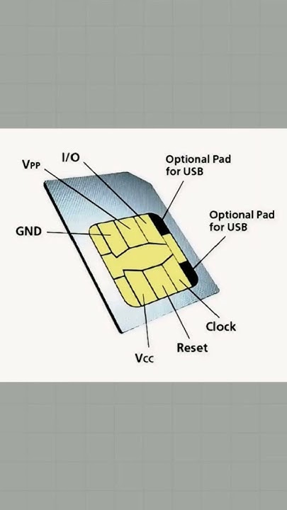 Sim Card Pinout #smartphone #electronicseducation - YouTube