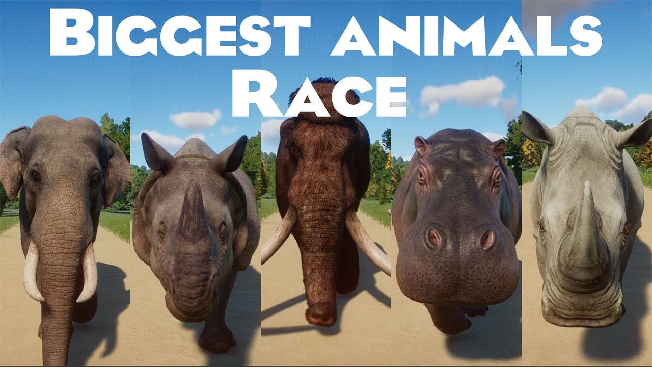 Biggest Animals Speed Races in Planet Zoo included Wolly Mammoth, White ...