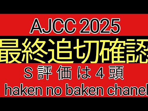 AJCC2025 最終追切確認 S評価は4頭 - YouTube