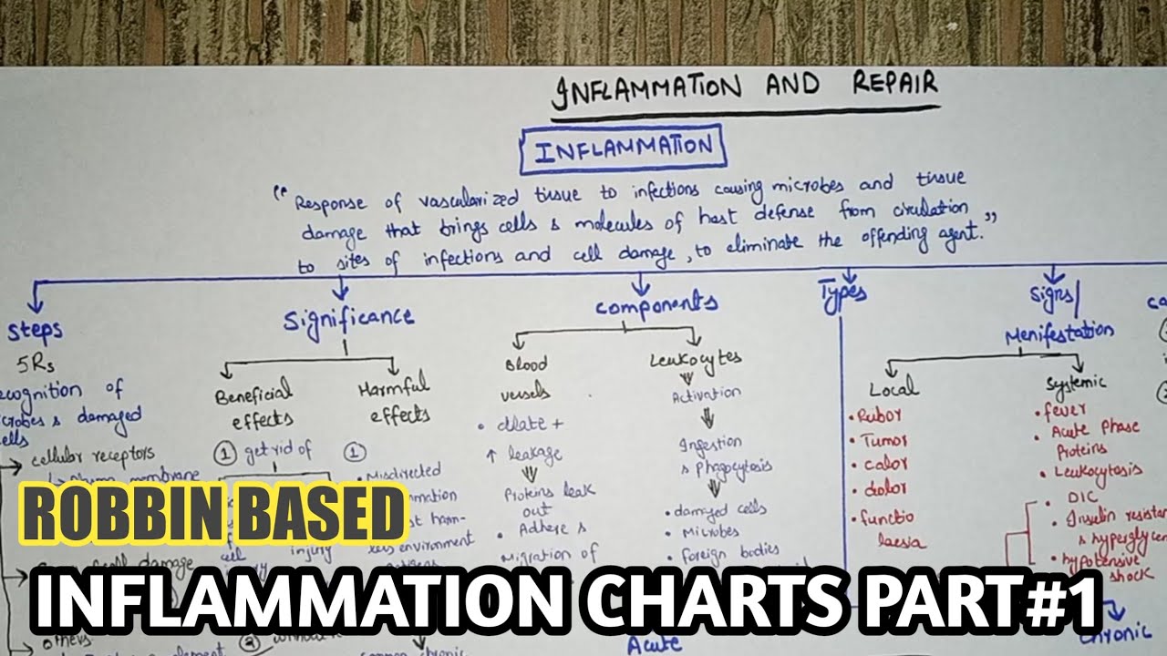 inflammation flowcharts notes part#1 || overview of inflammation - YouTube