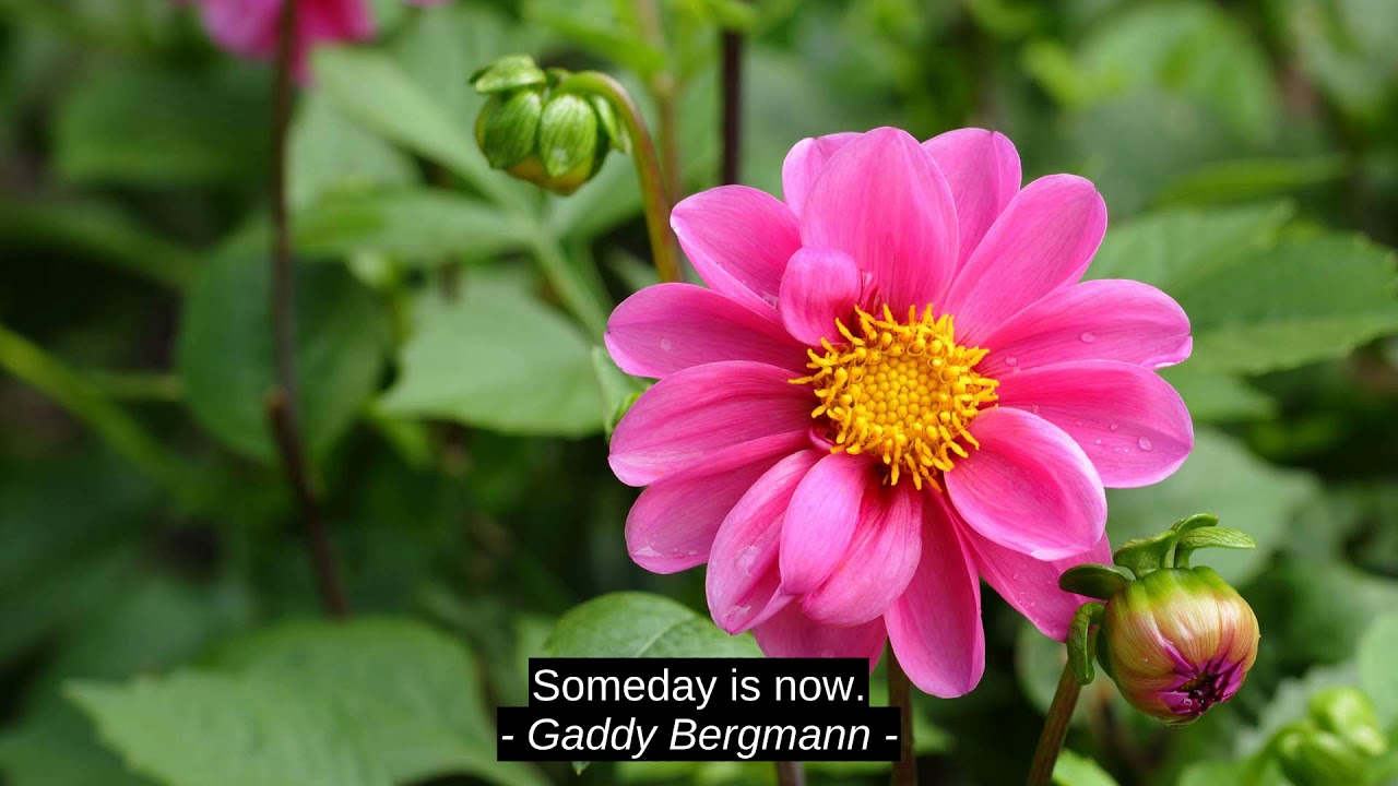 Pablo Best Motivation Quotes - YouTube