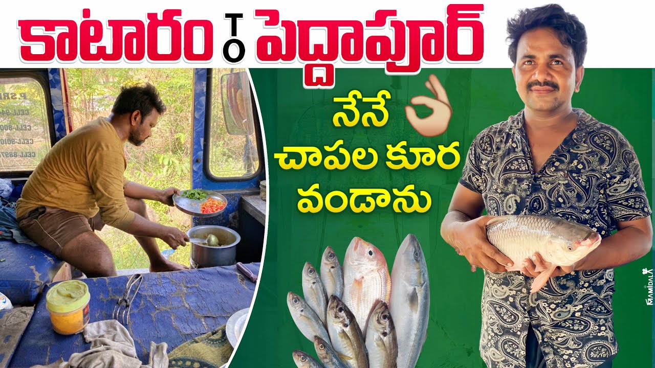 #trending #truck #kataram#to #peddapuram #mana #nene #fish carri chesa ...