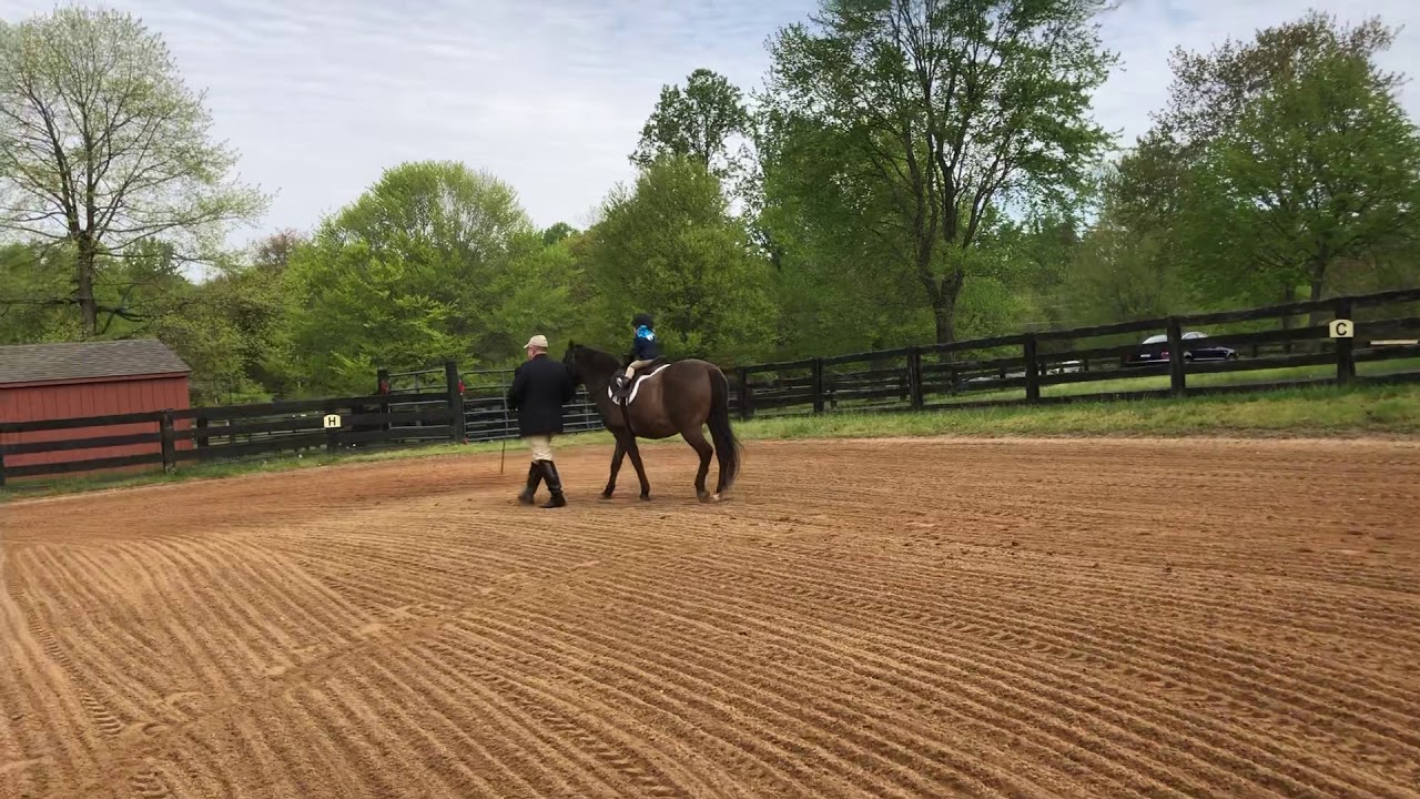 Leadline Class 1 Harper Humphreys on Hershey Kiss - YouTube