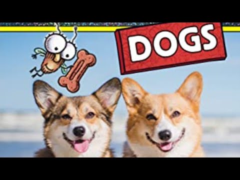 Fly Guy Presents ~ Dogs ~ By Tedd Arnold ~ Bedtime Story With Addison 💞 ...