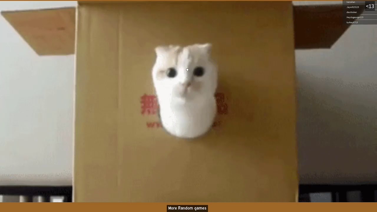 bobbing cat - YouTube