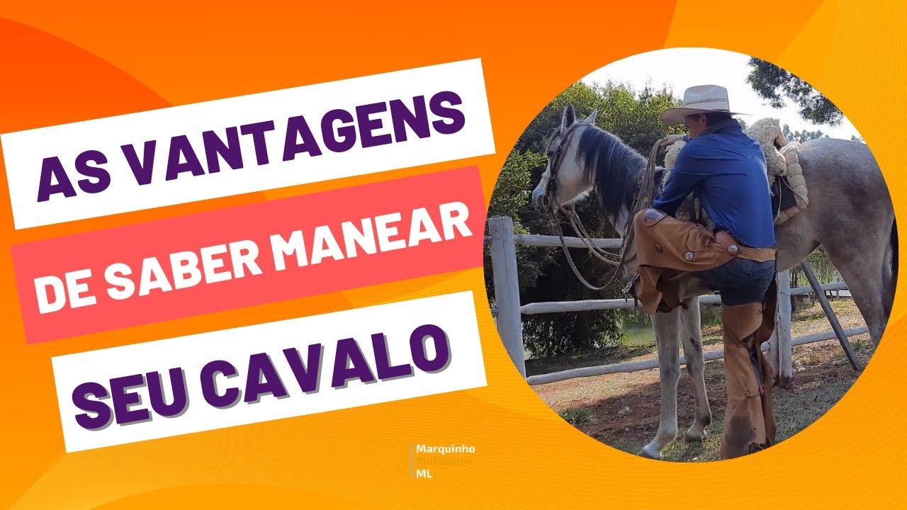 Como amarrar as mãos do cavalo para ele ficar parado . Maniar um cavalo ...