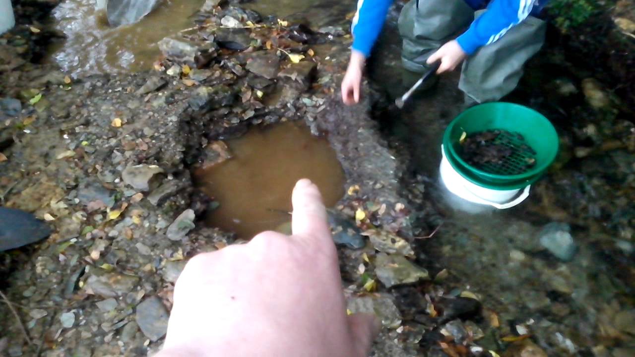 Gold panning in Wicklow Ireland - YouTube