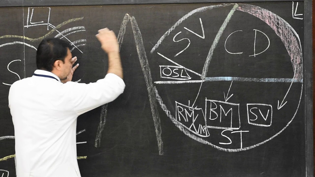 Gross anatomy of internal ear part 5 - YouTube