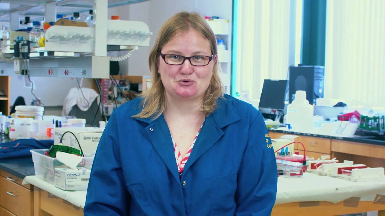 "Seeing is Believing" with Professor Jennifer Prescher - YouTube