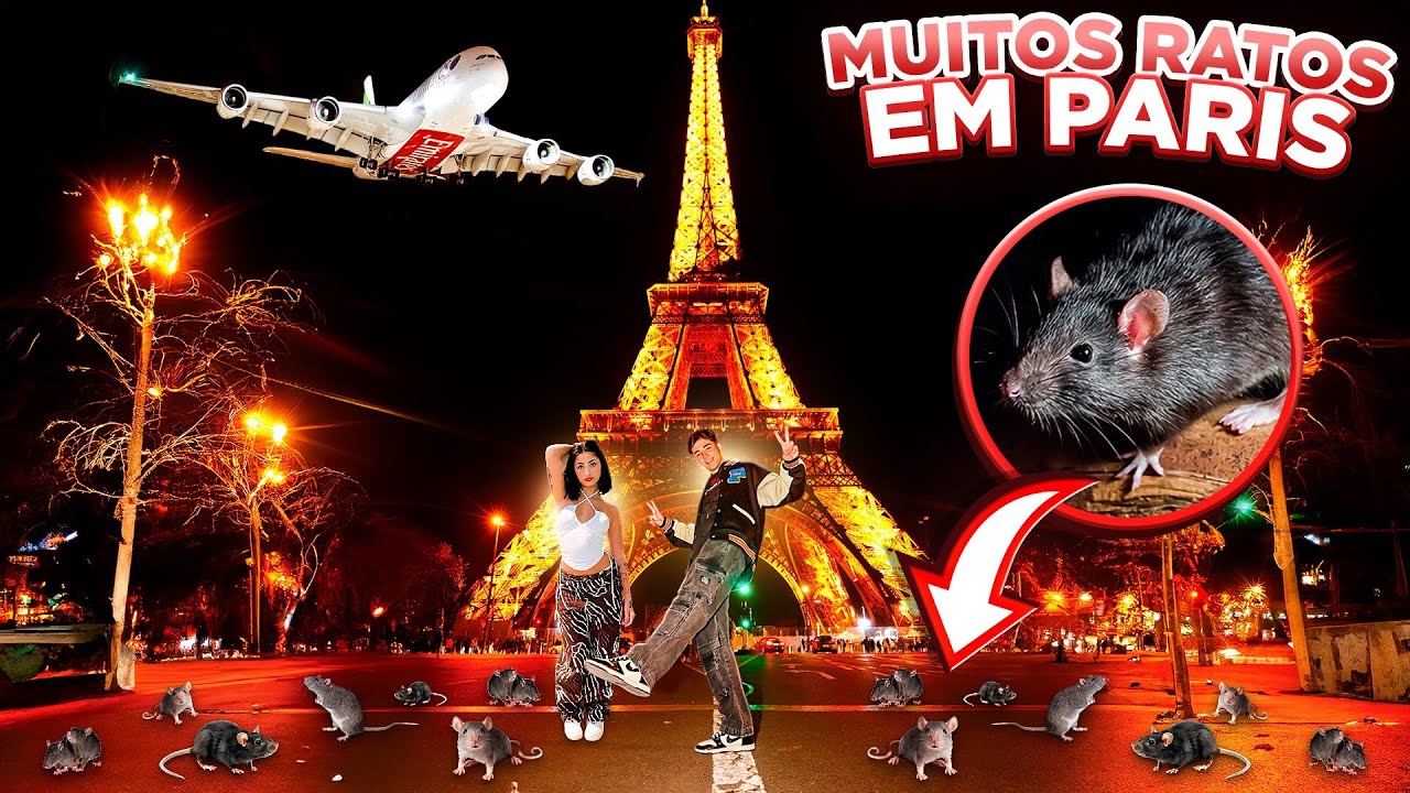 O QUE ACONTECE EM PARIS AS 3:00 HORAS DA MANHÃ *muitos ratos - YouTube
