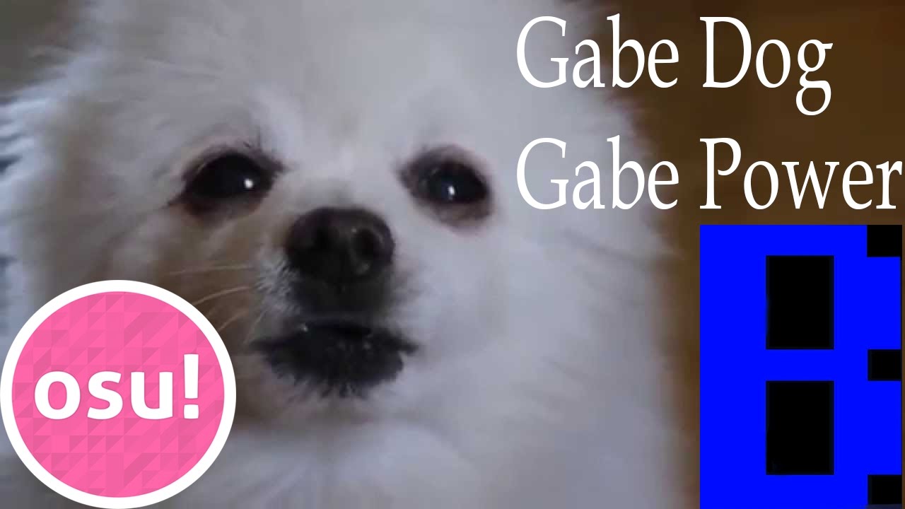 Gabe Dog - Gabe Power - YouTube Music