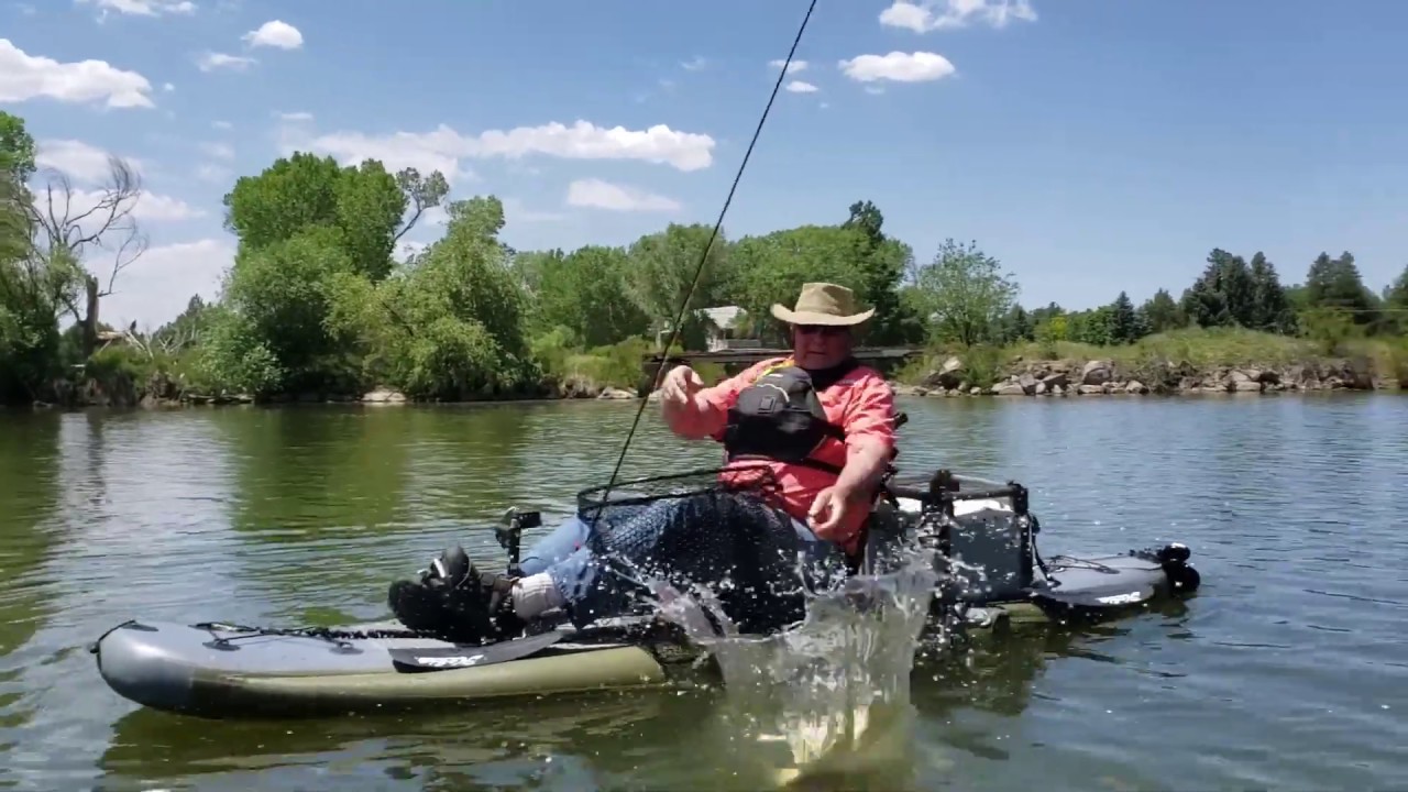 White Amur Fishing - YouTube