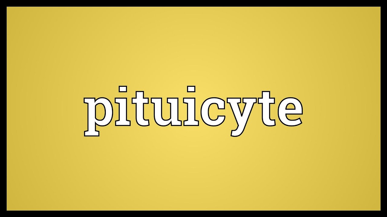 Pituicyte Meaning - YouTube