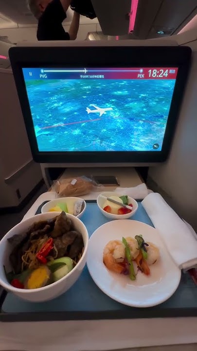 Air China Airbus A350 business class experience #airchina #travel #A350 ...