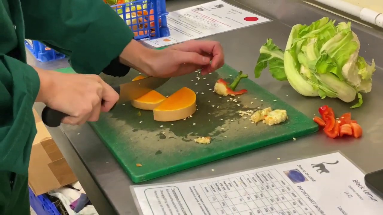 Sparsholt College Animal Management Centre - Food Preparation - YouTube