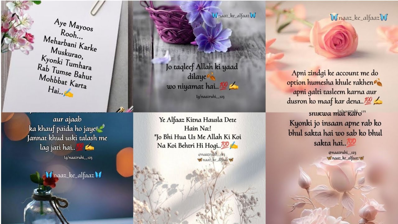 islamic quotes status in english || islamic dpz || Most Beautiful ...