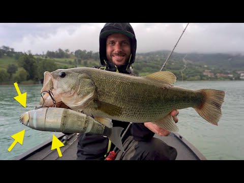 Le ESCHE GIGANTI funzionano nelle Nostre Acque??? Giant Swimbait for Bass Fishing