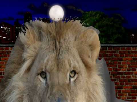 Madagascar Real Life Speedpainting Collage (Alex on the Spot Remix ...