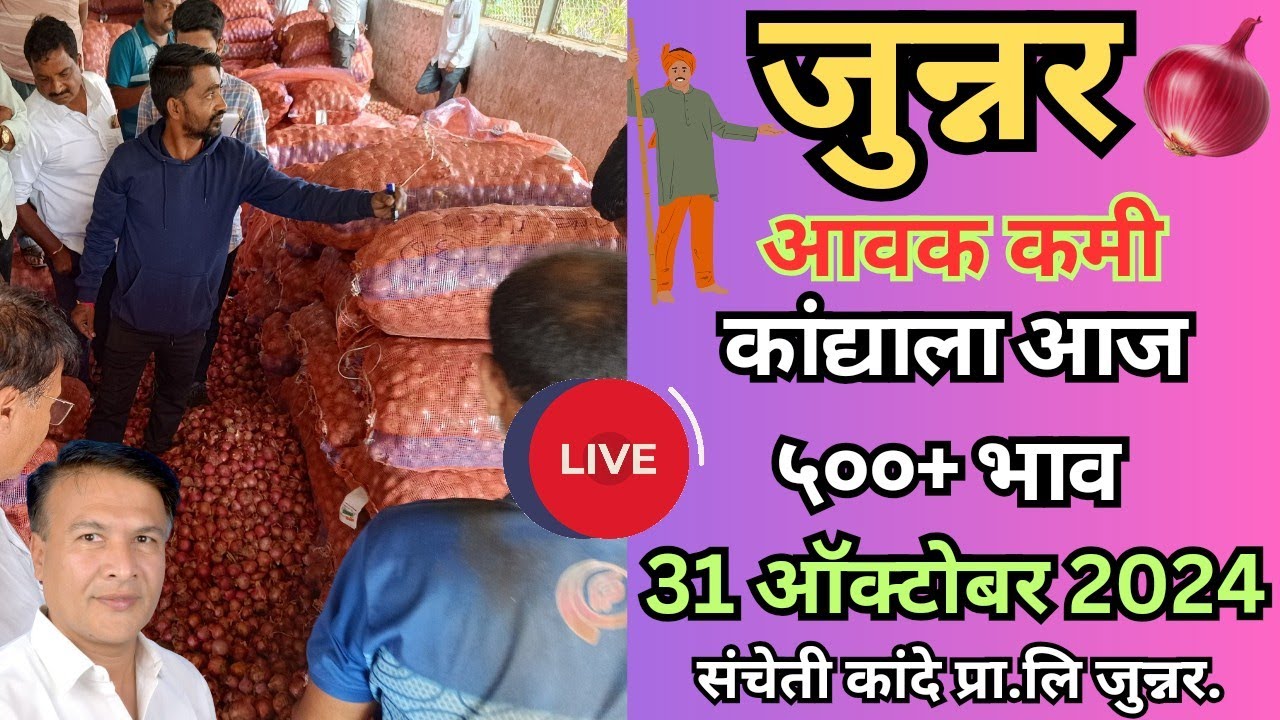 31/10/24 JUNNAR PUNE ONION MARKET TODAY #kandabajarbhavtoday #कांदा ...