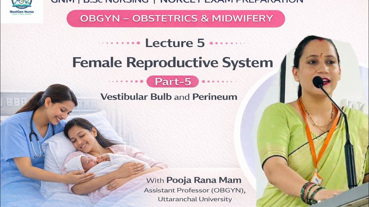 Vestibular bulb and Perineum l Female Reproductive System system Part 5 ...