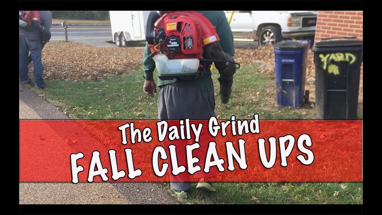 Daily Grind - Fall Clean Ups! - YouTube