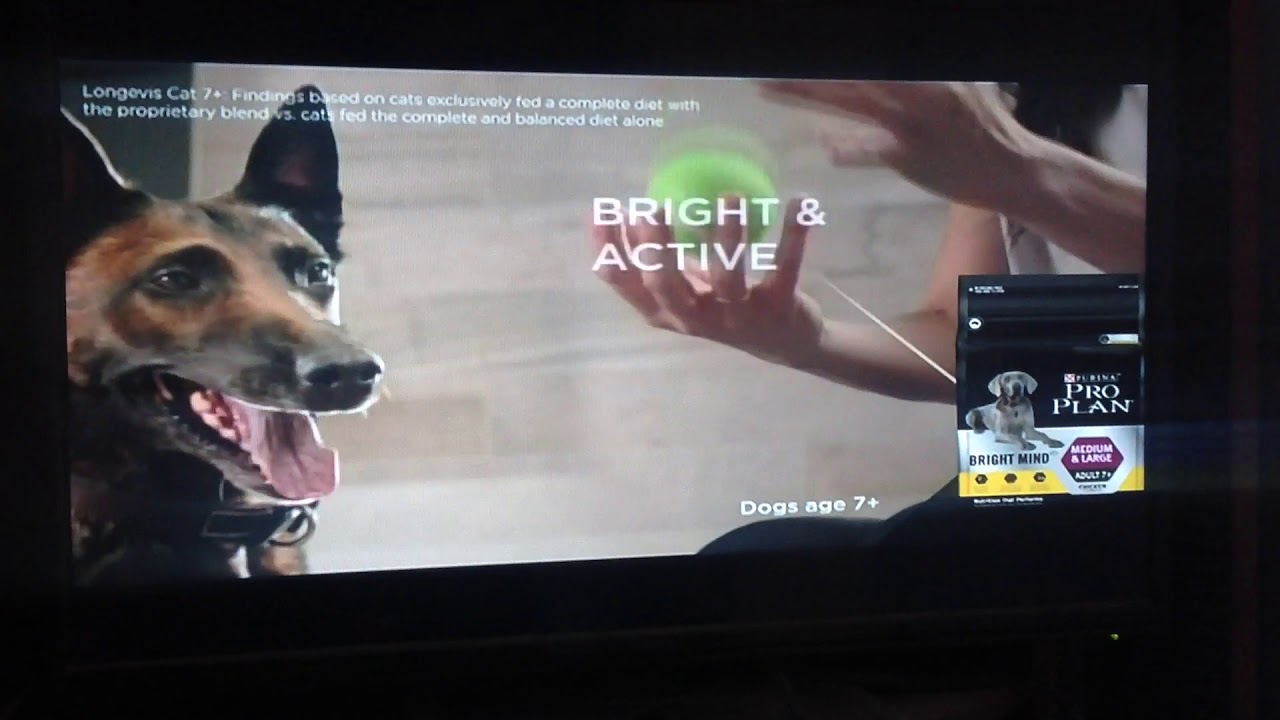 Purina 2019 Ad - YouTube