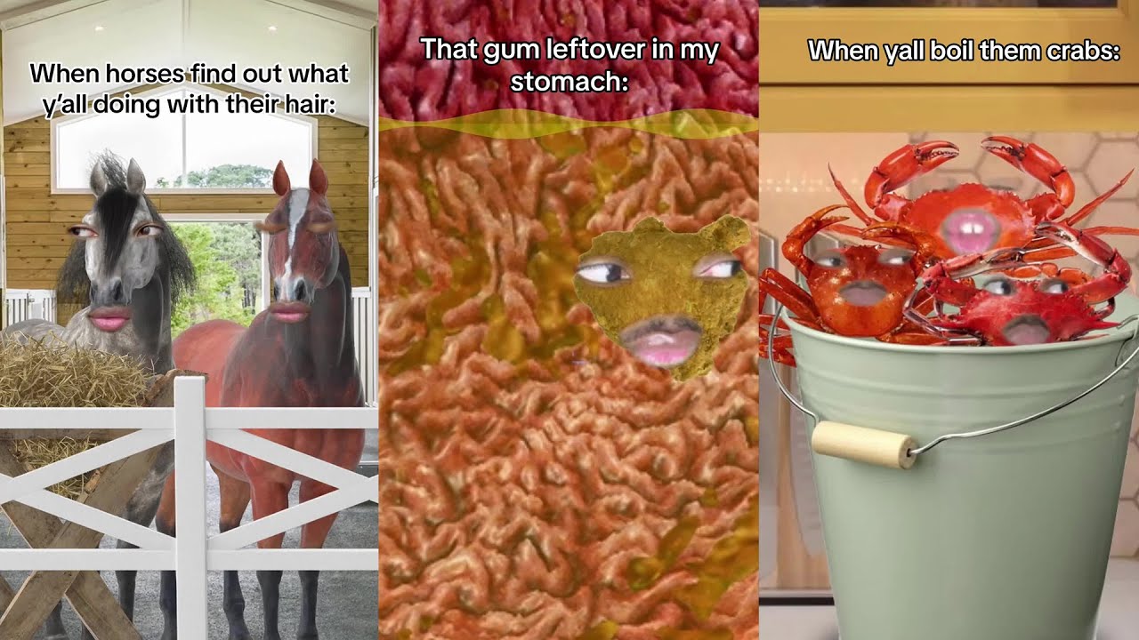 Ultimate Dimpey All TikToks Compilation - New Dimpey Funny TikToks and ...