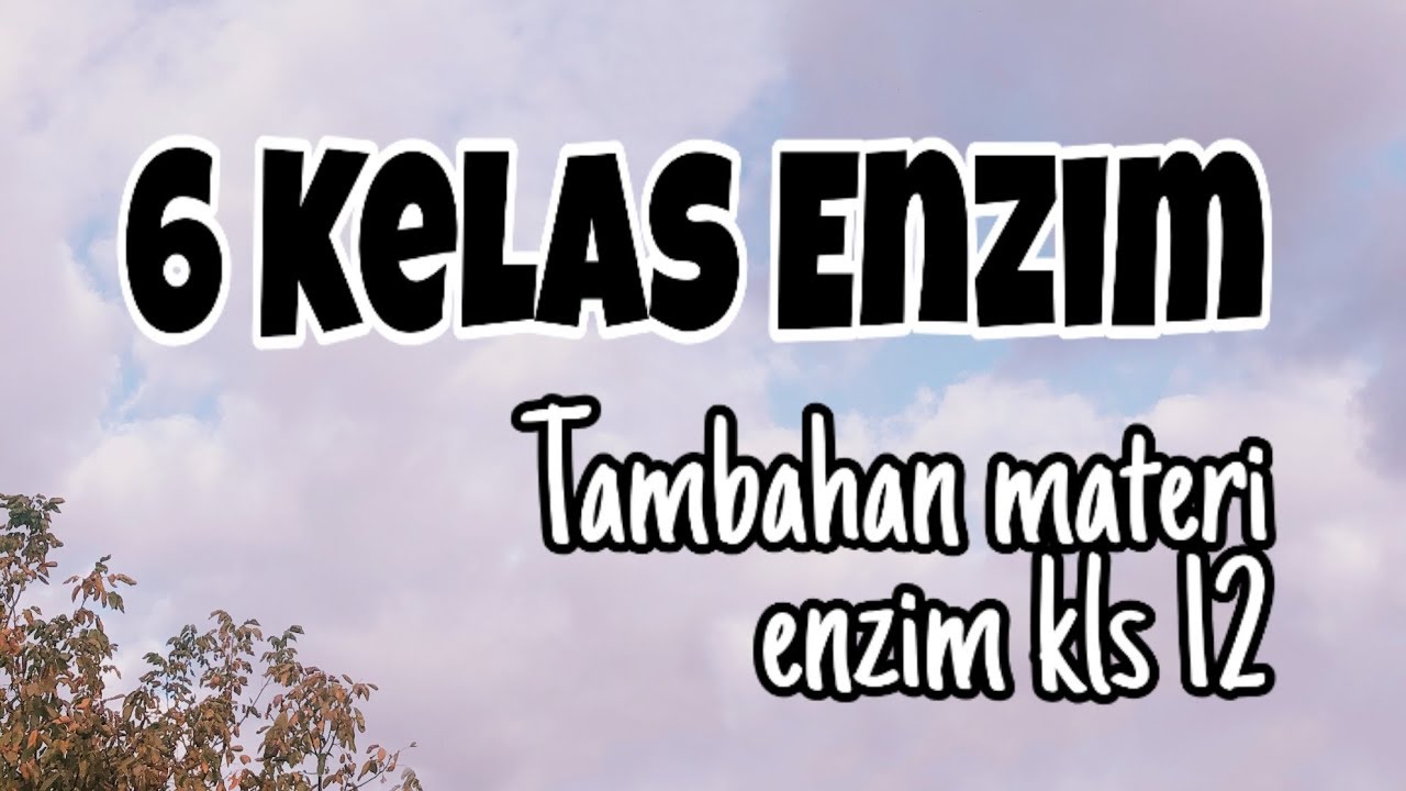 Tambahan materi enzim kelas 12 : "6 klasifikasi kelas enzim" - YouTube