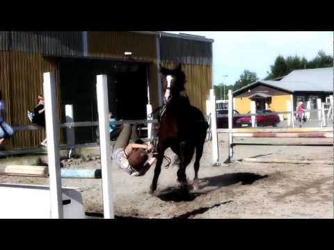 нσяsɛ ғαℓℓs  [ lιvιи' ιи α н.ι.ɢ.н ωιяɛ ]