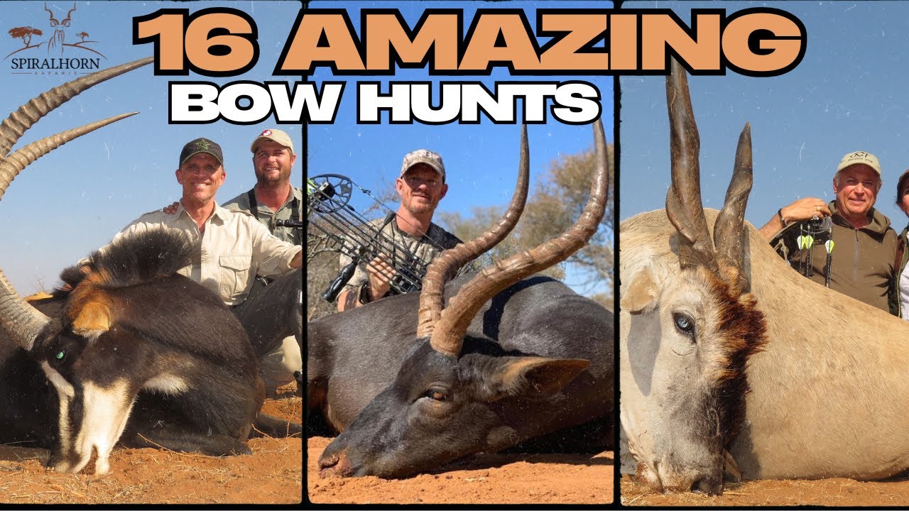 16 Ultimate Bow Hunting Kills! - YouTube