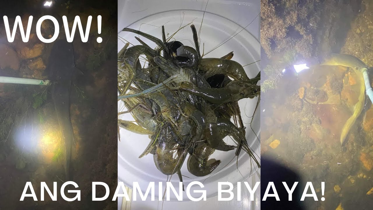 (PART2)🇵🇭🇯🇵CATCH & COOK!🎣🦀🦐 KASAMA ANG SOLID KATROPA(NGAYONG GABI JUN/2/2022)11:30PM JAPAN TIME ...