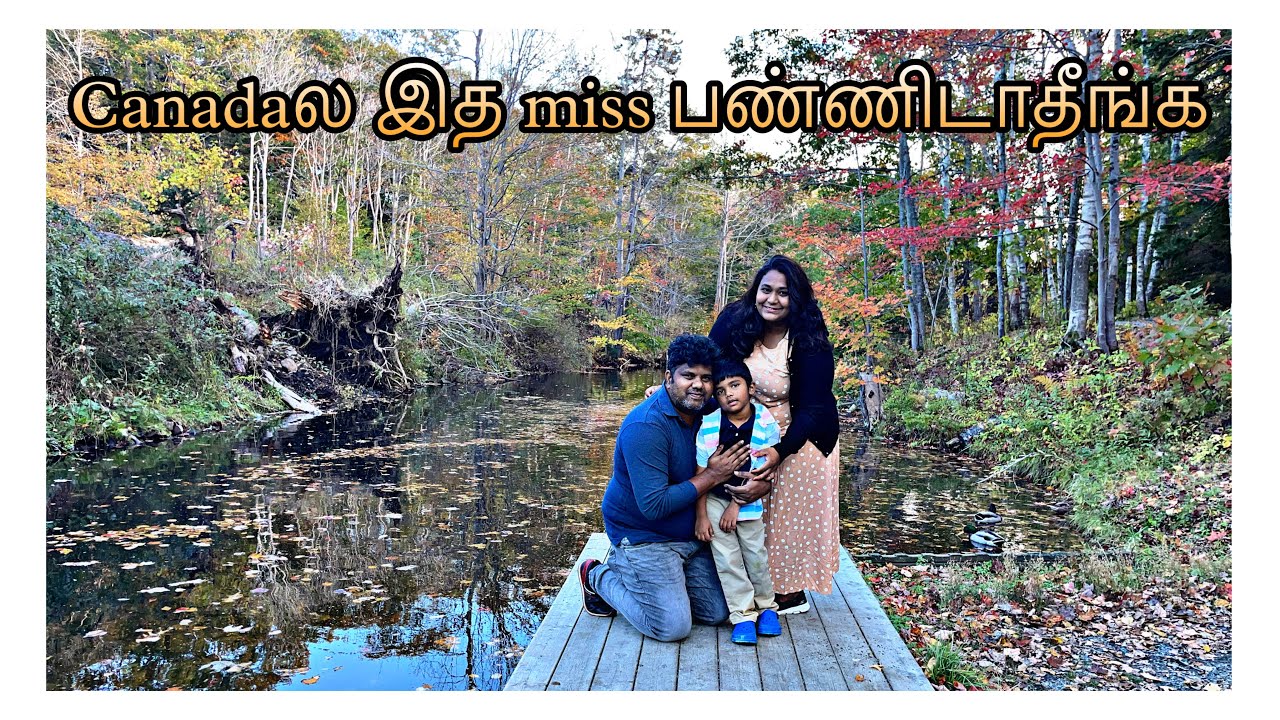 கனடா வந்தா இத செஞ்சிருங்க|Canada best Season for Photoshoot|Canada ...