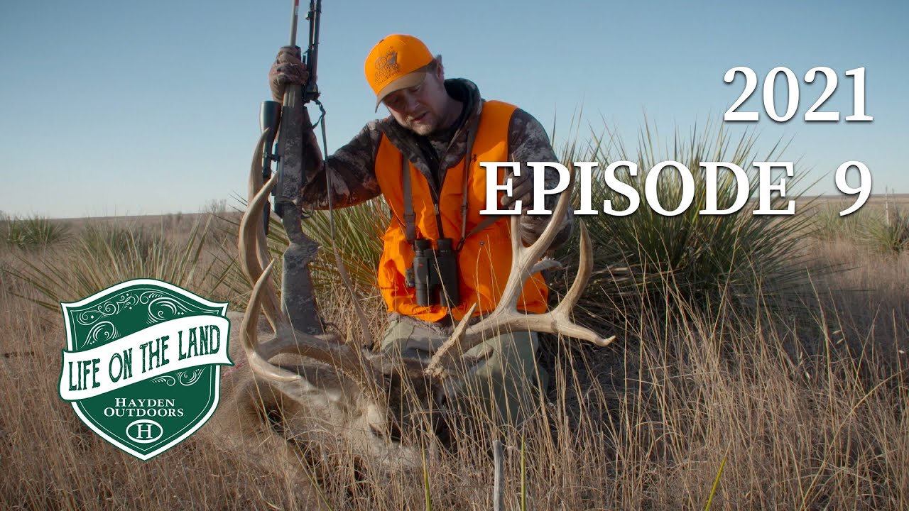 LIFE ON THE LAND EPISODE 9 - YouTube