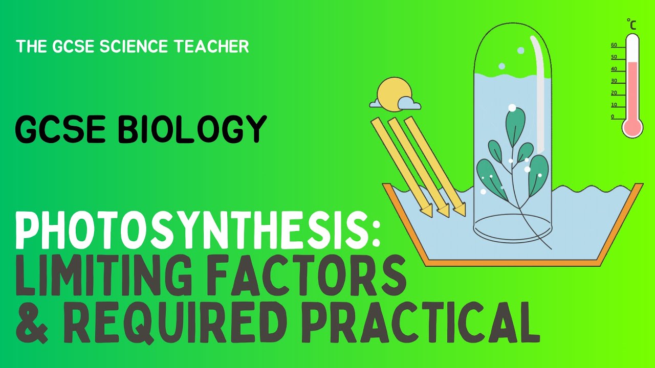 GCSE Biology: Photosynthesis Required Practical (AQA, OCR, Edexcel ...