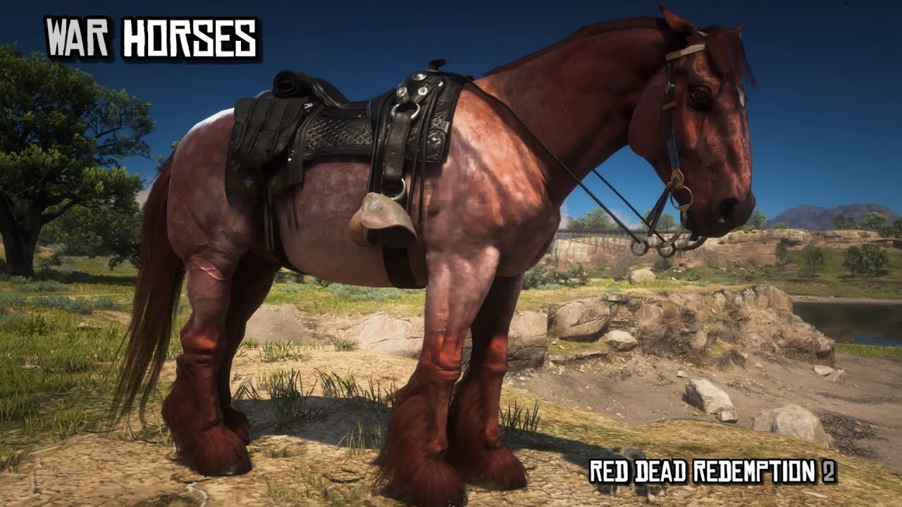 5 Best War Horses with Great Stats | John Special | Red Dead Redemption ...