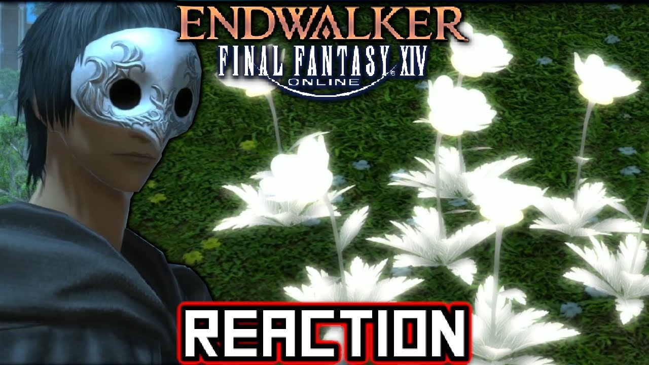 Krimson KB Reacts: What is...Dynamis? - FFXIV Endwalker MSQ - YouTube