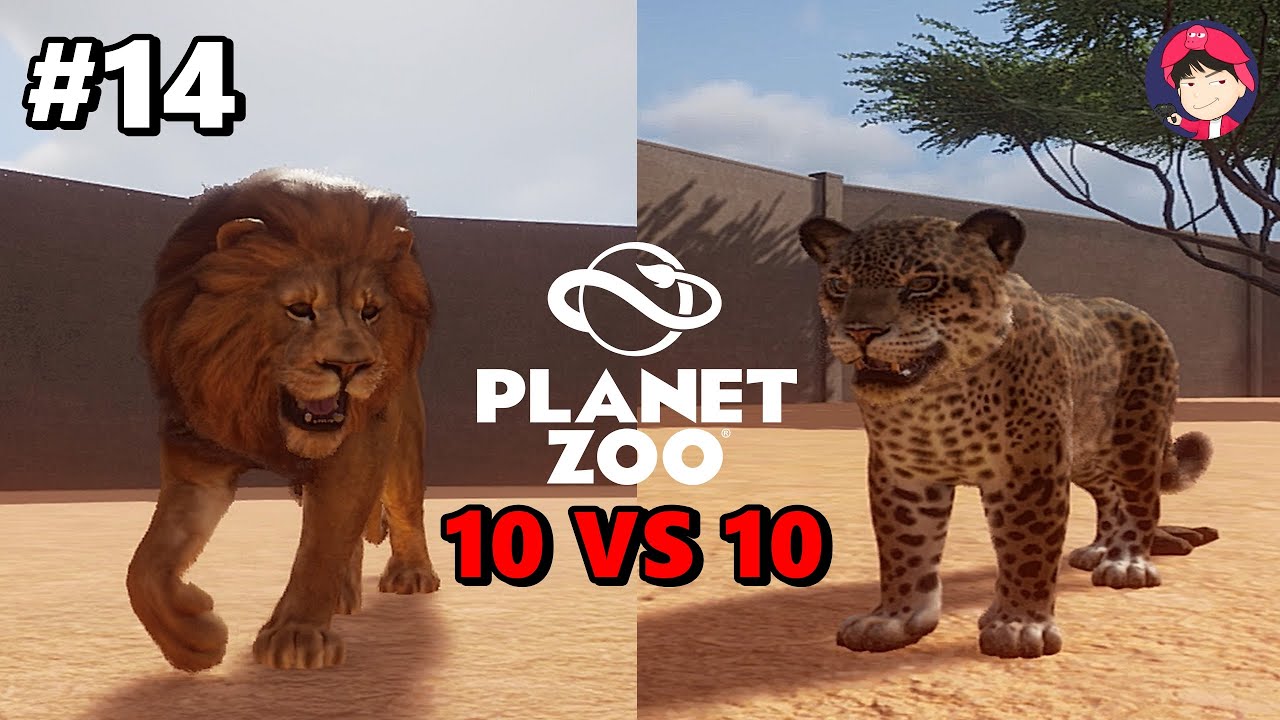 สิงโต VS เสือจากัวร์ : Planet Zoo #14 (Animal Fight Thailand) - YouTube