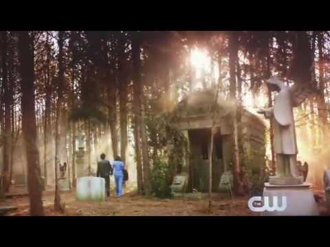 The Vampire Diaries ending Delena at the cemetery Damon and Elena die ...
