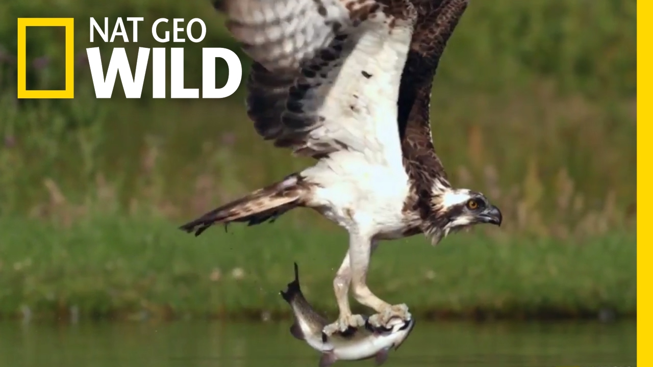 There’s an Awakening! | Destination WILD - YouTube