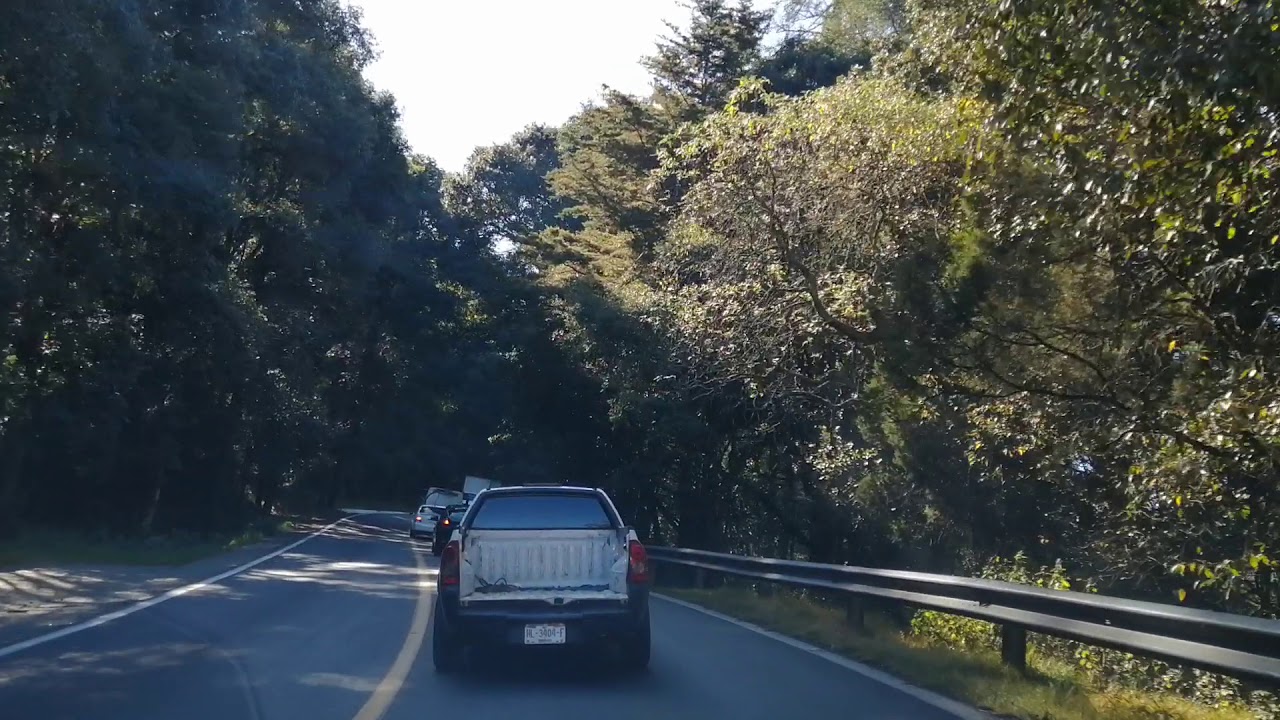 Bosque el hiloche, real del monte Hgo. - YouTube