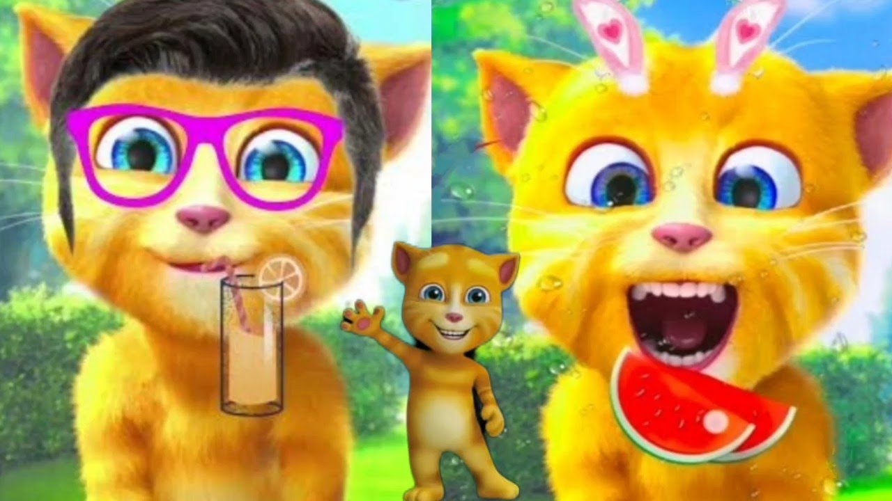 talking ginger 2 cat funny videos 🥝🍕🍒🌶️🍓ll ginger cat ll talking ginger ...