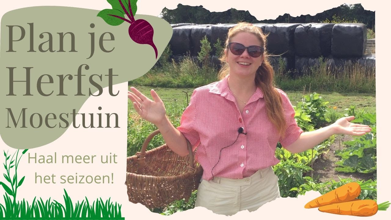 Hoe START je een HERFST MOESTUIN? | Plan met mij! | Tips and Tricks ...