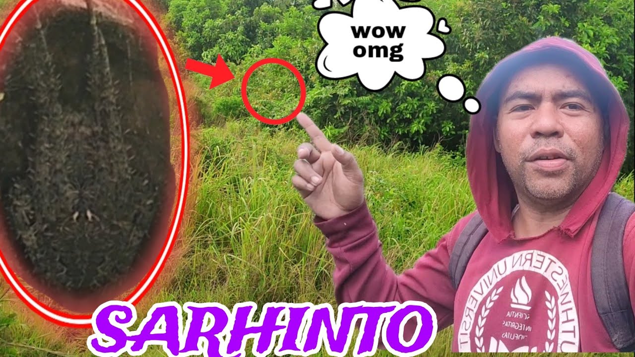 SPIDER HUNTING ANG GANDA NG SARHINTO MGA KA PET'S - YouTube