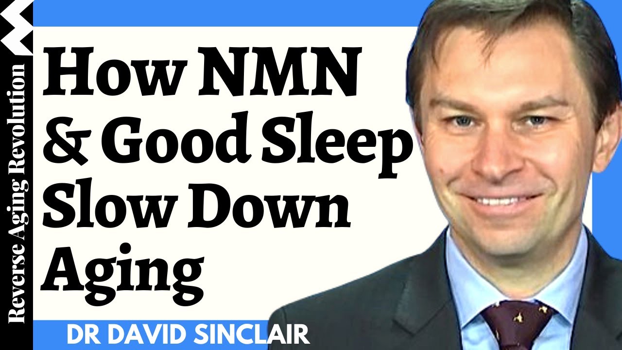 Why NMN & Good Sleep Are Linked To Slow Down Aging | Dr David Sinclair Interview Clip - YouTube