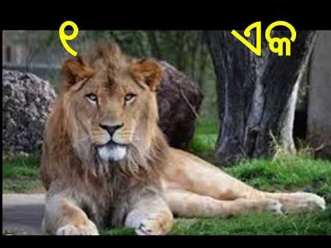 Oriya Language (ଓଡ଼ିଆ) Numbers Study and Learn | Oriya Language (ଓଡ଼ିଆ ...