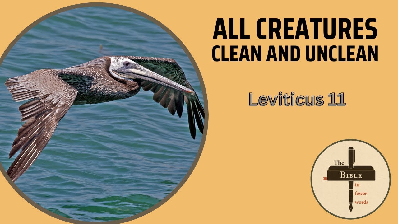 #46: Leviticus 11 | God's taxonomy: All creatures clean and unclean ...